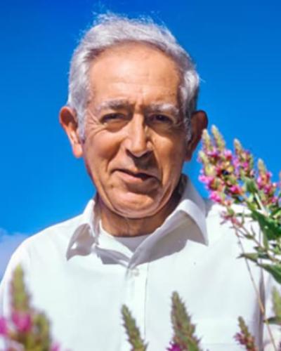 Search | Department of Ecology and Evolutionary Biology